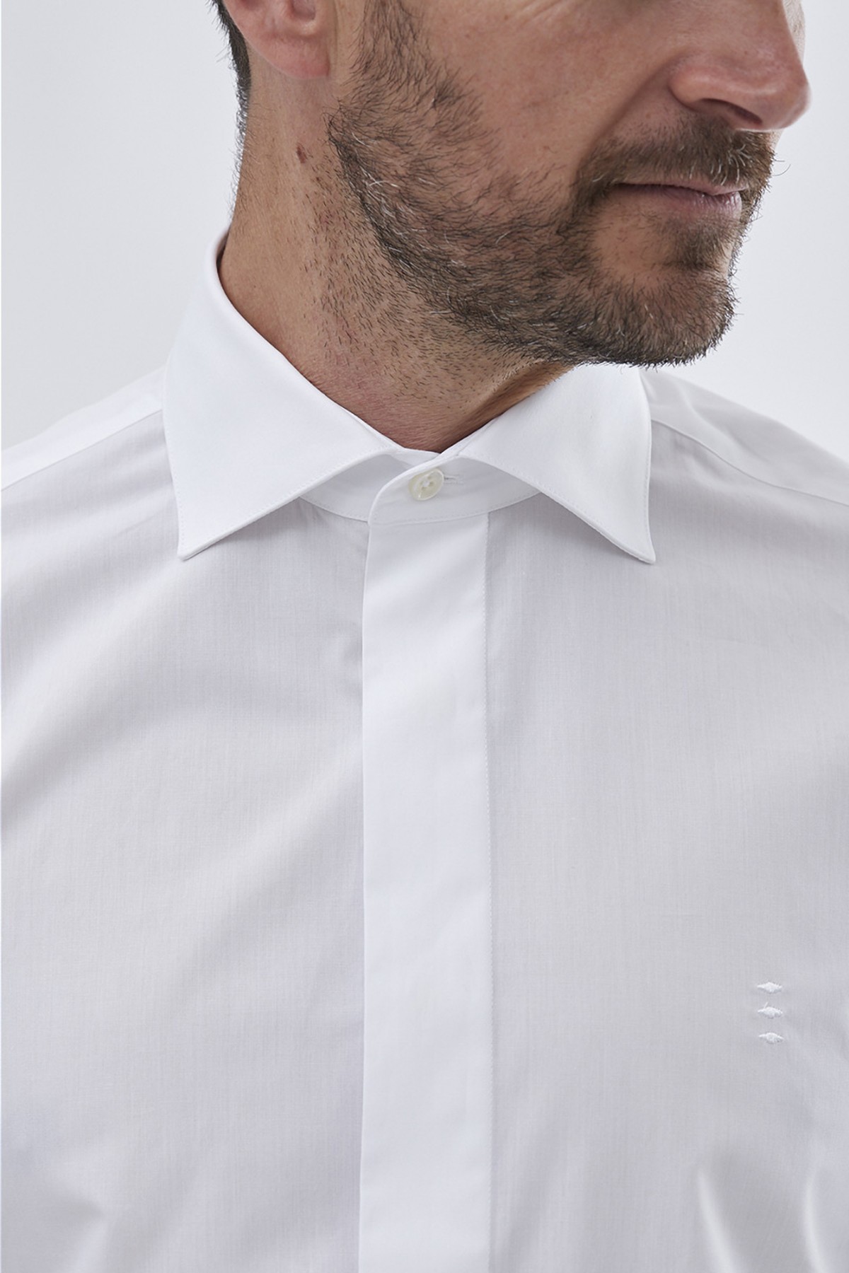Regular Fit Dress Shirt